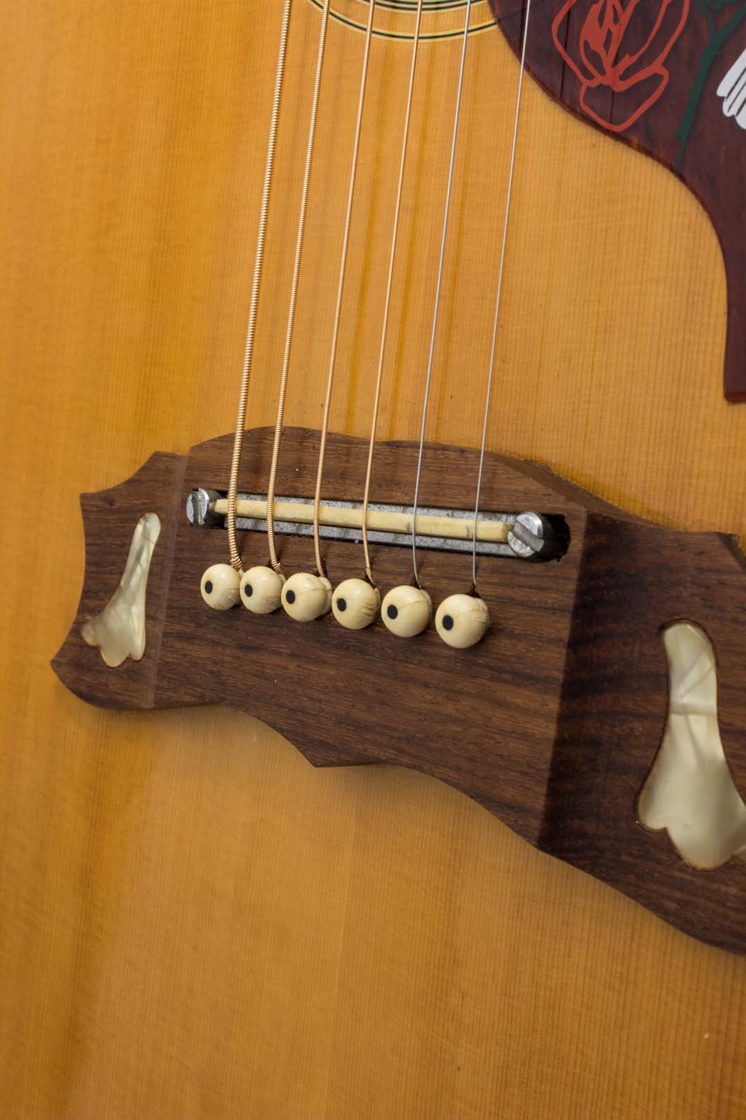 Elite by Takamine HM-30 Dove Style Dreadnought 1974 – Topshelf Instruments