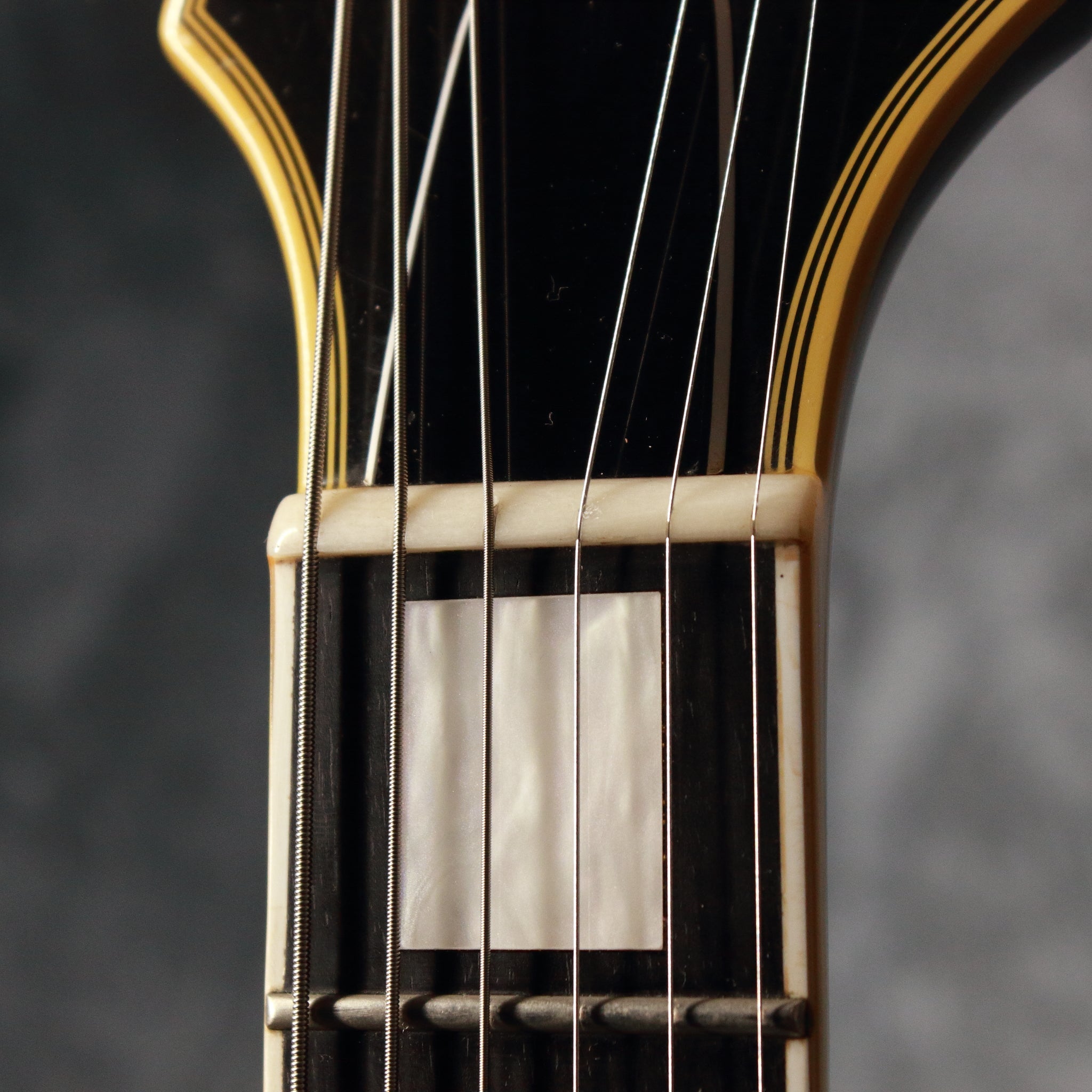 Edwards E-LP-98LTC Black 2010 – Topshelf Instruments