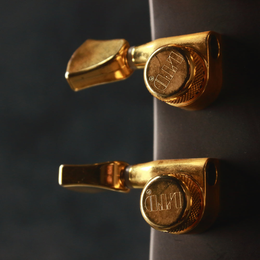 LTD EC-1000 Eclipse Vintage Black 2017 – Topshelf Instruments