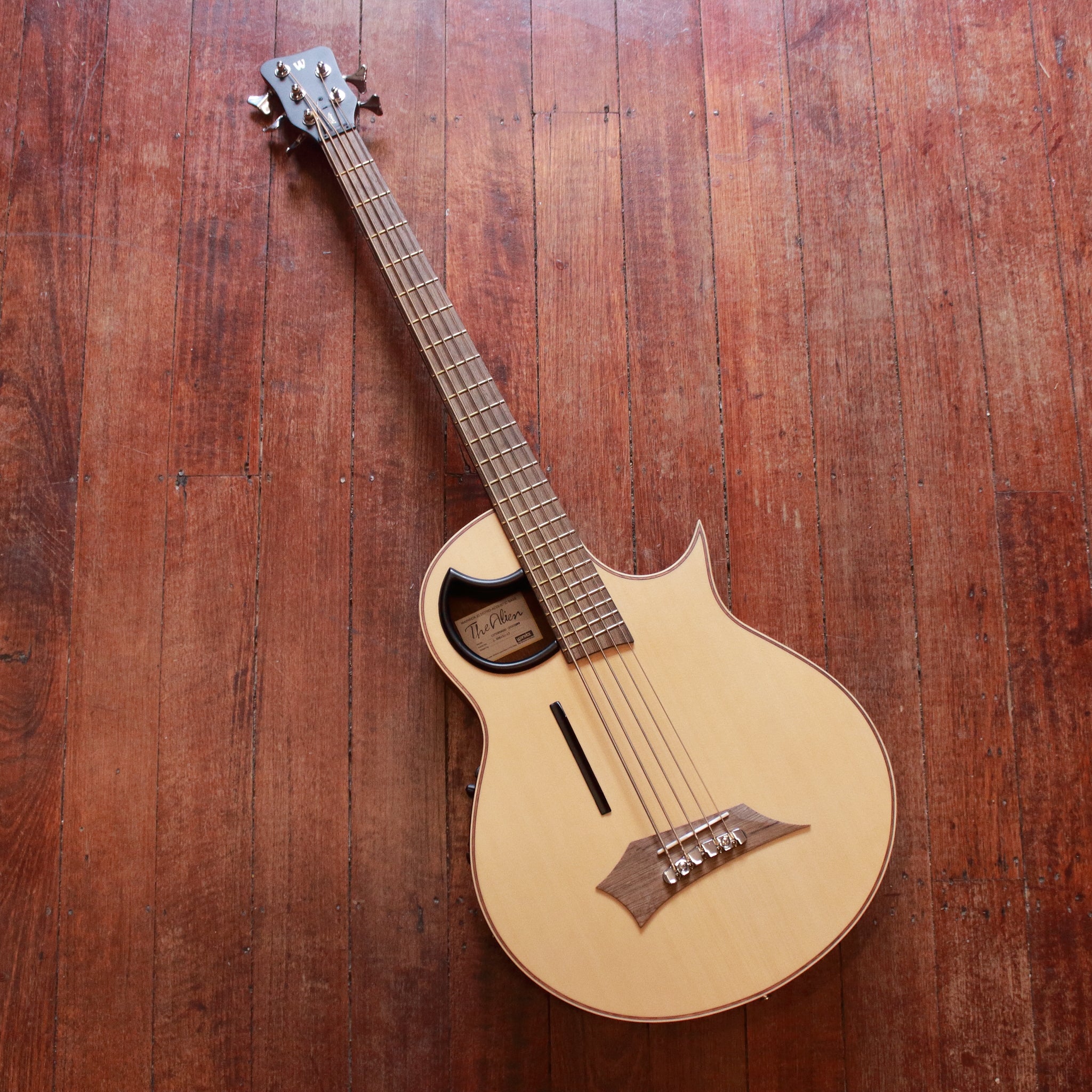 Warwick The Alien 5 Acoustic/Electric Bass 2017 – Topshelf Instruments