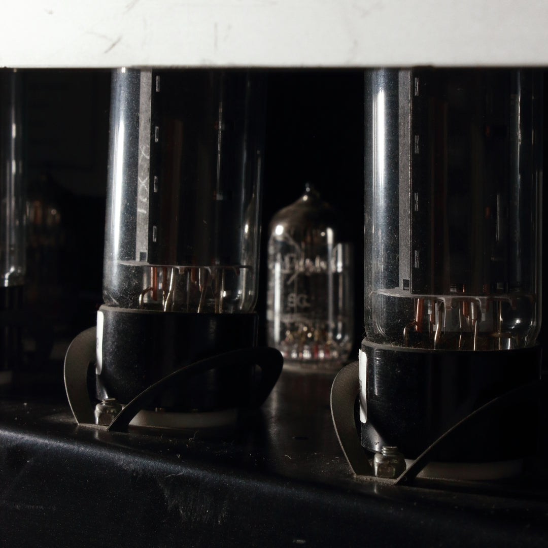 Framus Dragon 100W Guitar Amp Head – Topshelf Instruments