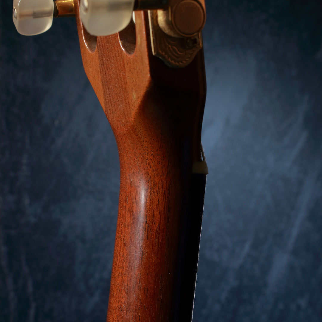 Gibson Chet Atkins CE Electric Nylon String Natural 1991 – Topshelf ...