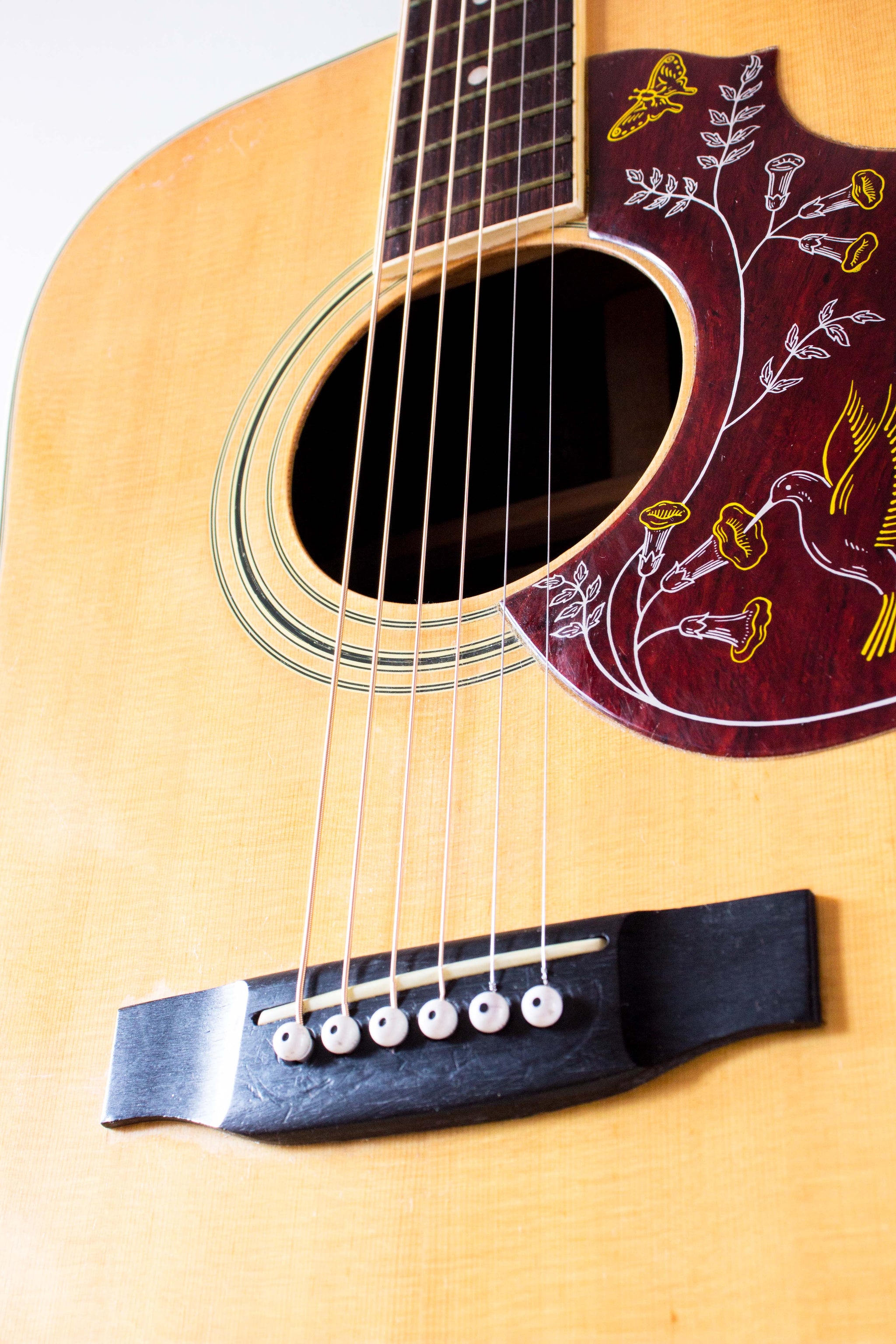 Greco F-200 Dreadnought Acoustic 1973 – Topshelf Instruments