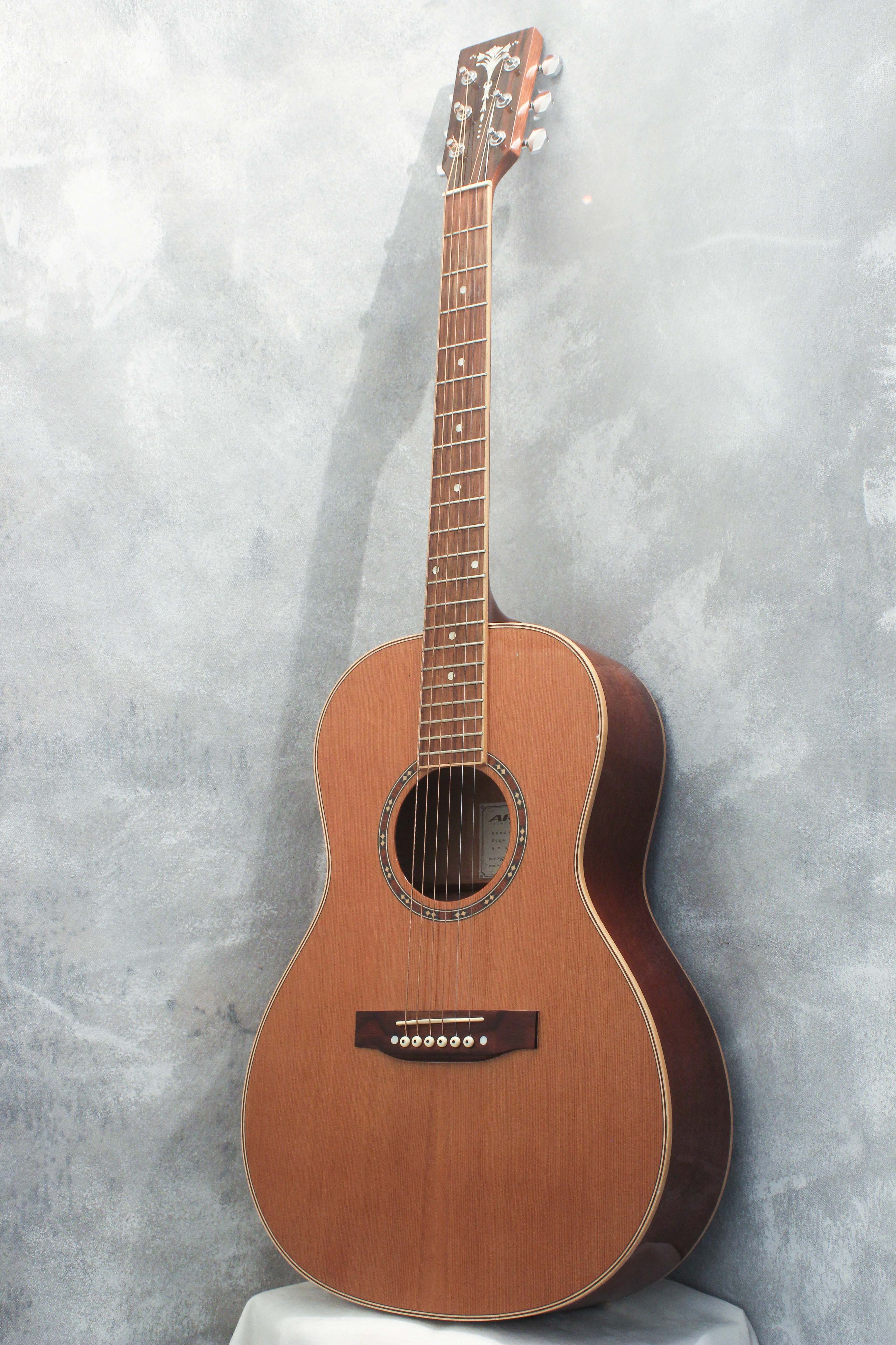 Aria AP-STD Parlour Acoustic – Topshelf Instruments